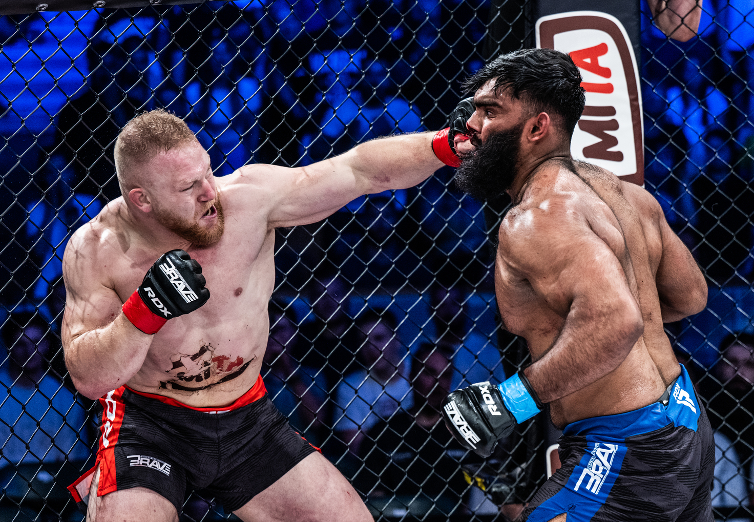 The heavyweight division has a new problem, and his name is Miha Frlic ...